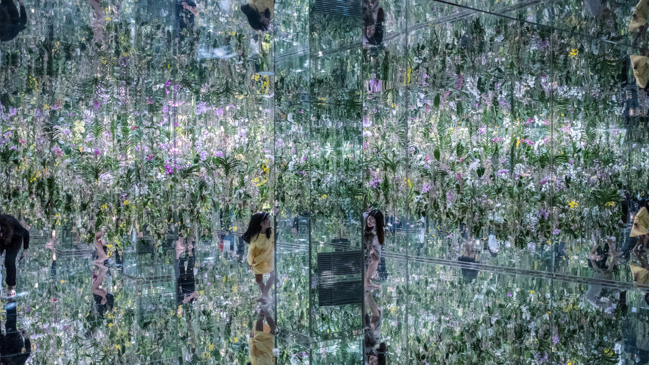 TeamLab Planets 02 – TOKYO - Cinello